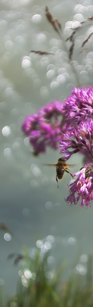 Current Position – Joseph Hamill